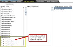 Pledge Detail Query Report - DonorSnap Support